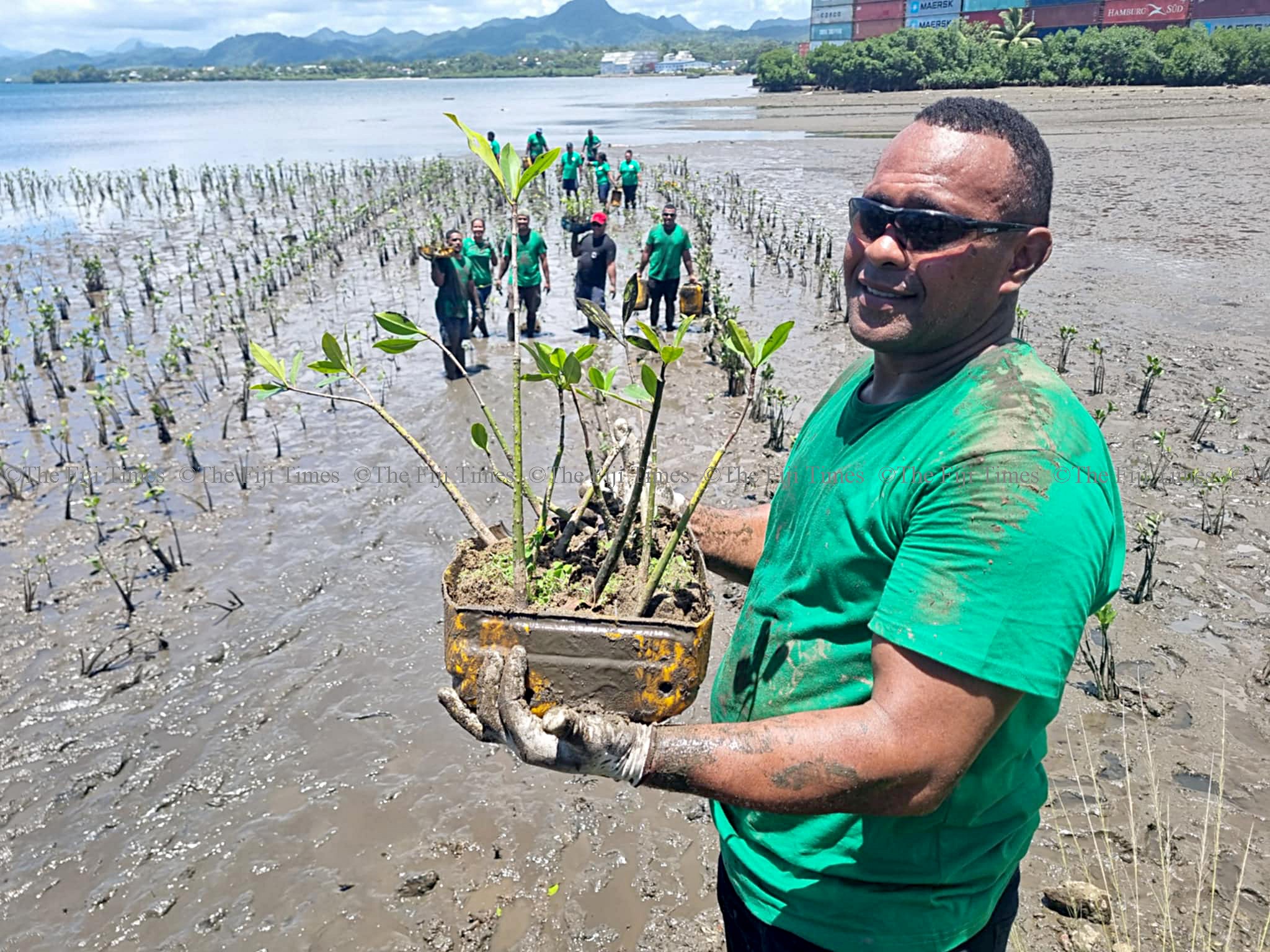 FRA, church unite to plant mangroves - The Fiji Times