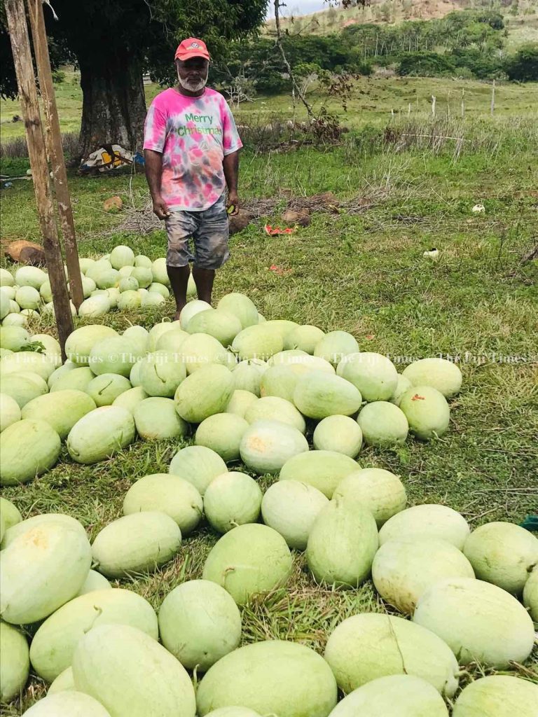 $3000 e rawati ena dua na tatamusuki ni meleni - The Fiji Times
