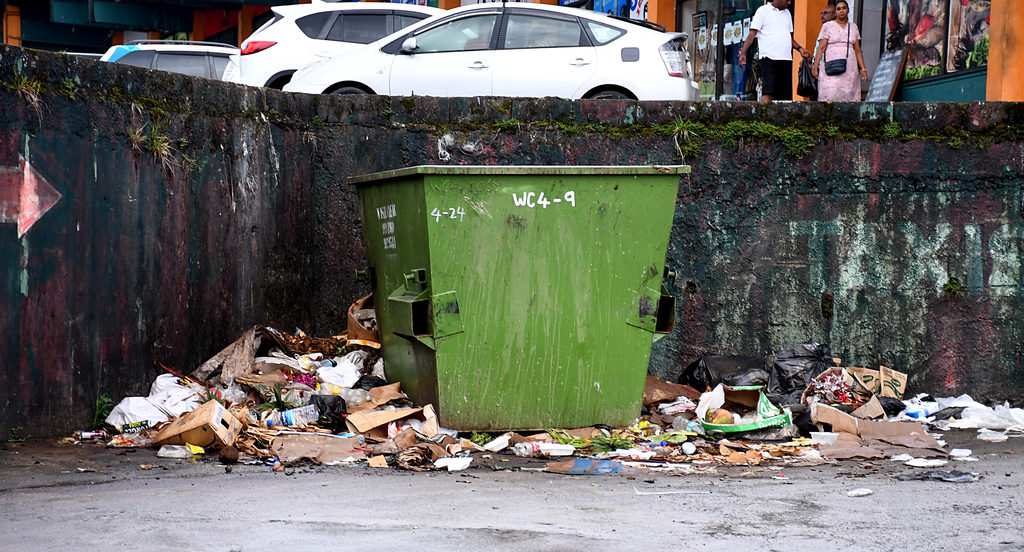 Trash brings stench | Residents raise concern over illegal dumping of ...