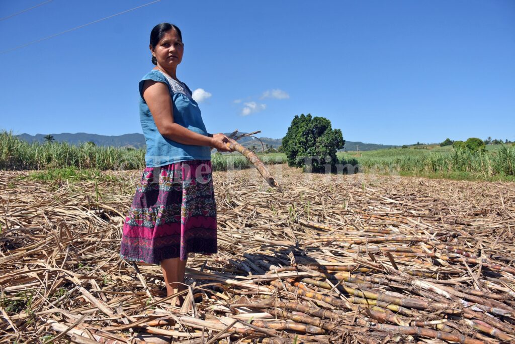 Youths harass, steal and threaten to forcefully enter farms