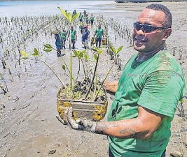 'Fiji plants 19m trees, targets 30m' - The Fiji Times