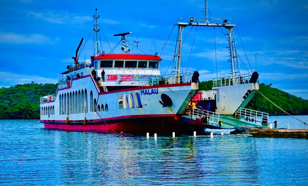 Vessel carrying gun and ammunitions arrived from Tonga - The Fiji Times