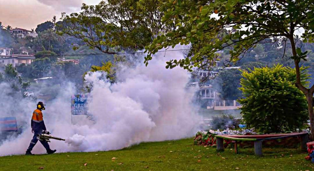 Doctor: Clean your area | Dengue fever crisis