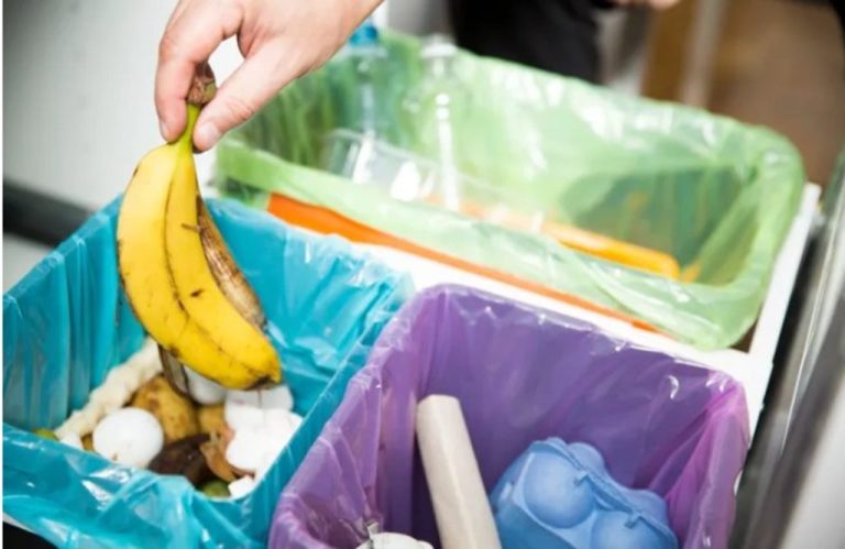 Clean your garbage cans regularly - The Fiji Times