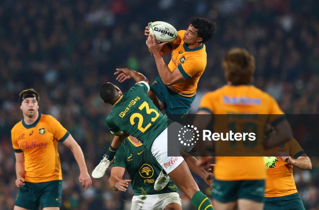 Rugby-Schmidt hails courageous Australia after famous win over S Africa ...