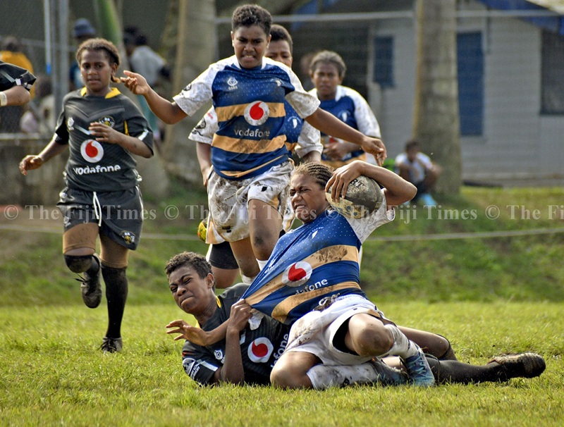 ‘Survival of the fittest’