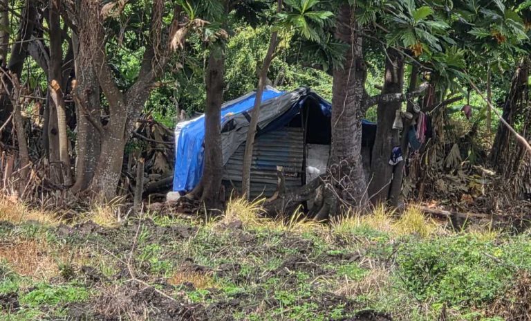 Bangladeshi national with expired work visa caught in Rakiraki - The Fiji Times