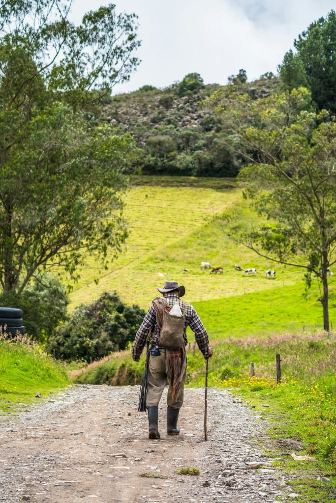 BODY AND MIND | L-plates for old codgers - The Fiji Times