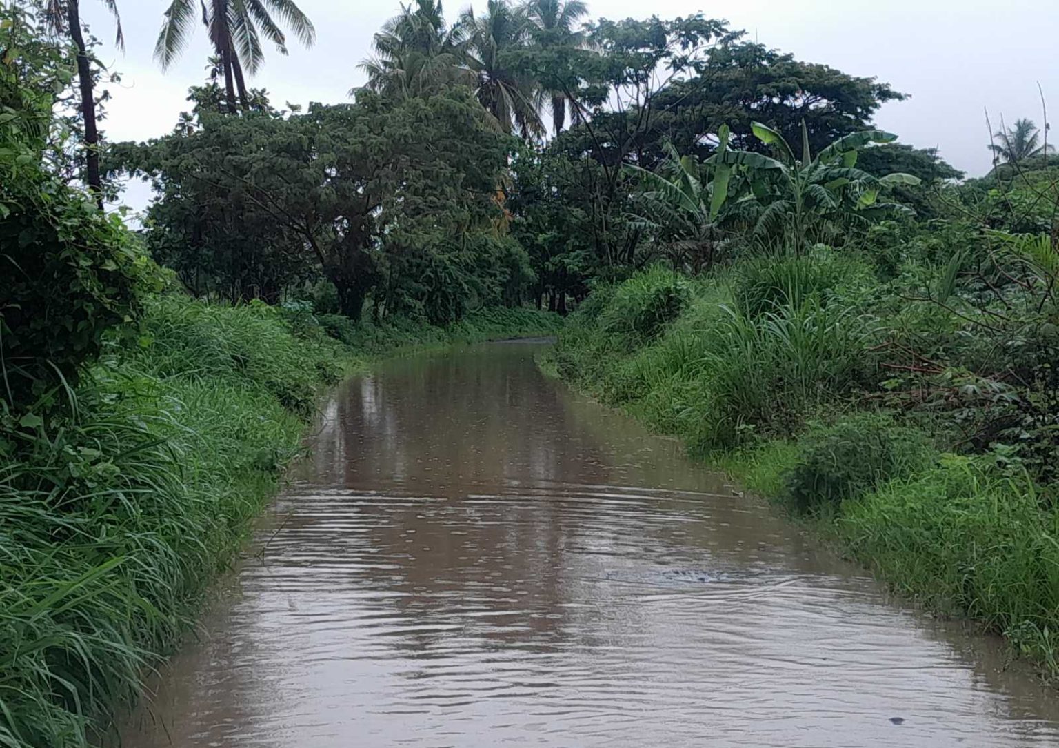 Flash flood alert remains in force for all of Fiji - The Fiji Times