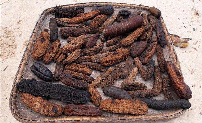 Ministry of Fisheries calls for expressions of interest for sea ...