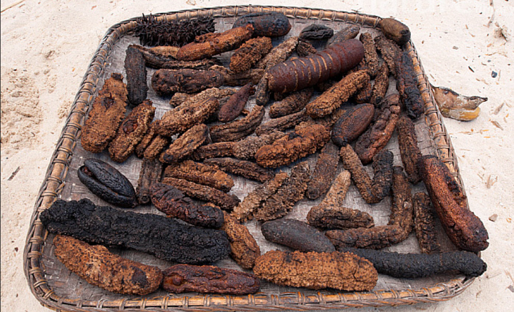 Ministry of Fisheries calls for expressions of interest for sea ...