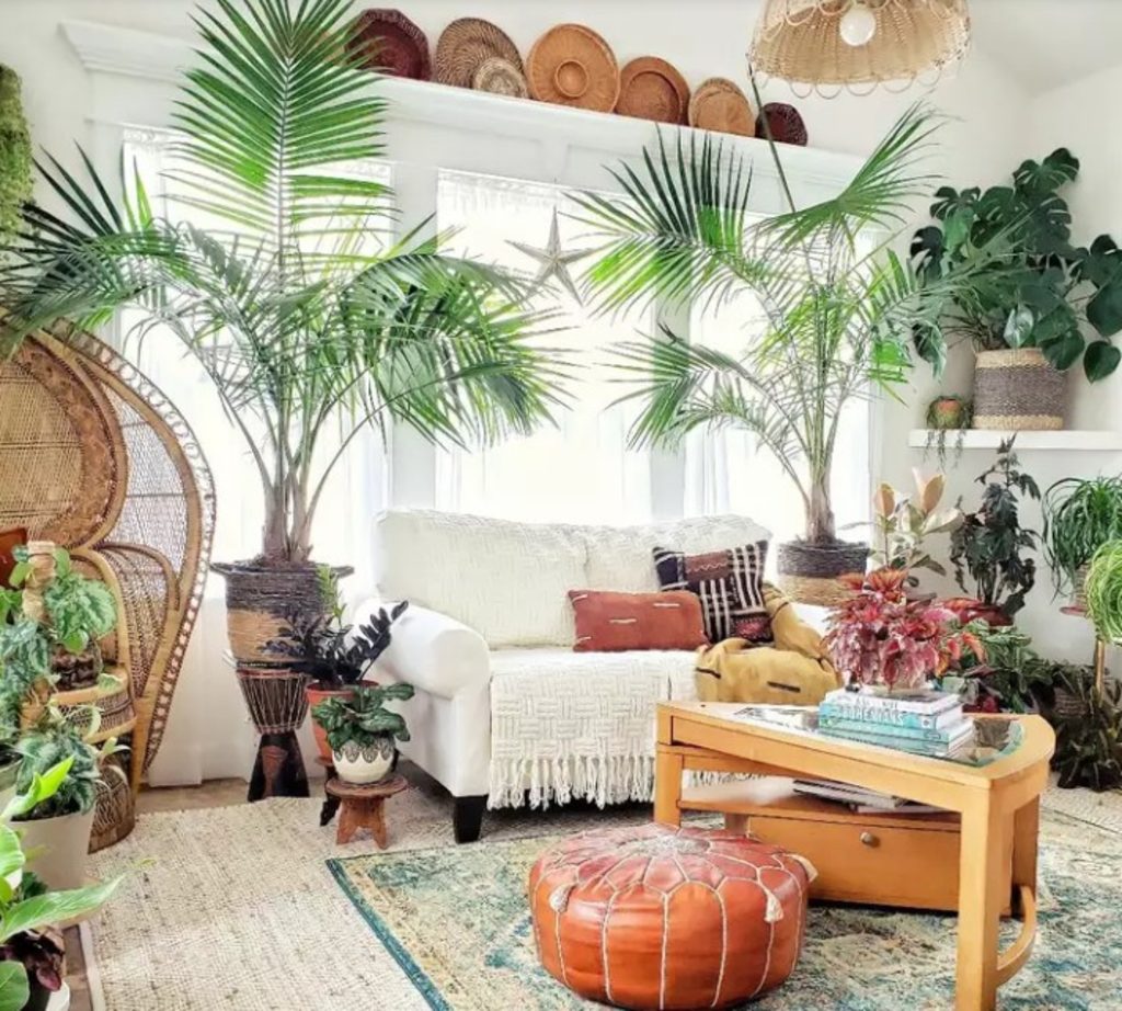 TIMES SHOPPER | Six rules when styling plants in a living room - The ...