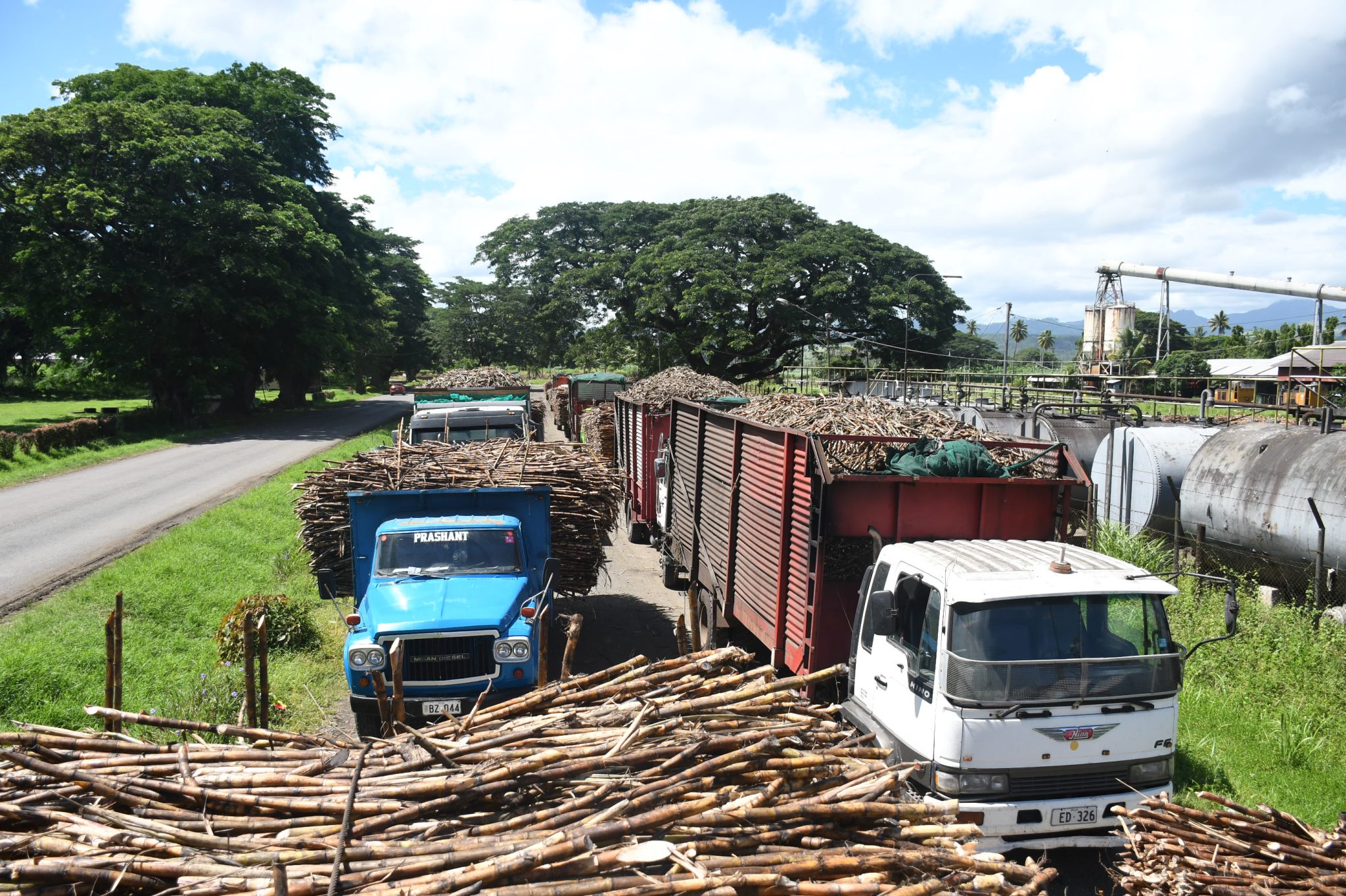NFU demands compensation for standover cane - The Fiji Times