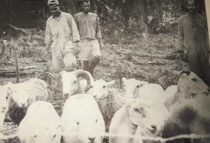 BACK IN HISTORY | Monfort opens in the North