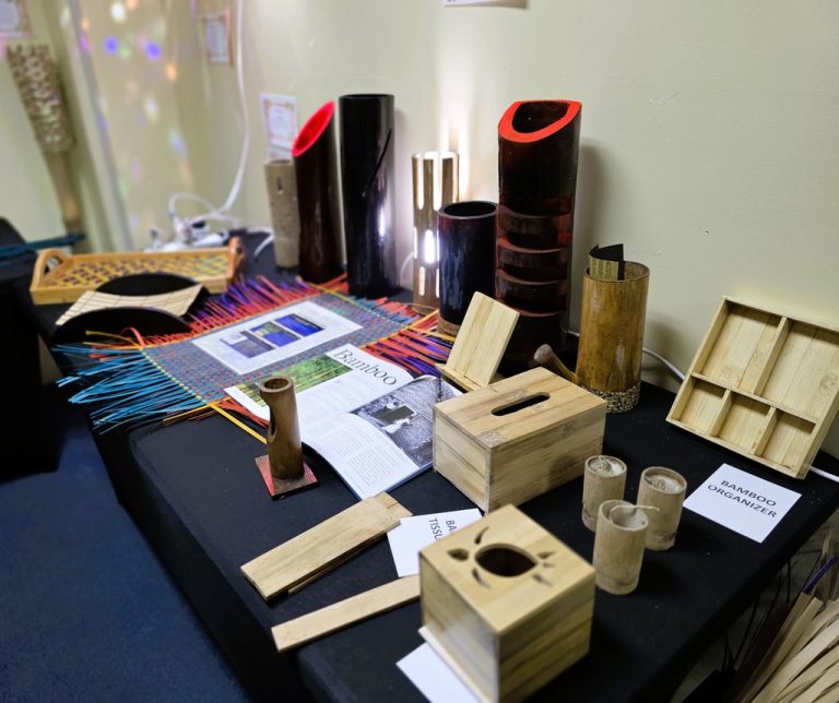 Fiji, Indonesia in bamboo partnership - The Fiji Times