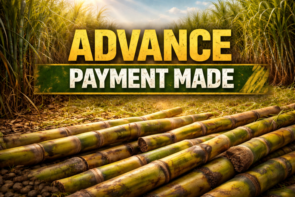 FSC pays third cane payment early with government top-up - The Fiji Times