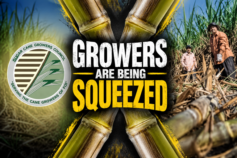Council raises red flag on grower returns - The Fiji Times