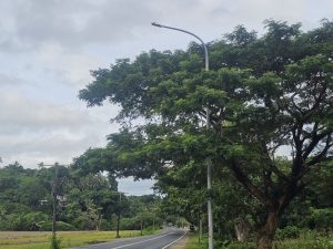 Letters to the Editor | June 17, 2026 - The Fiji Times